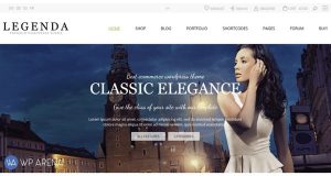 20+ Clean & Responsive eCommerce WordPress Themes 2025