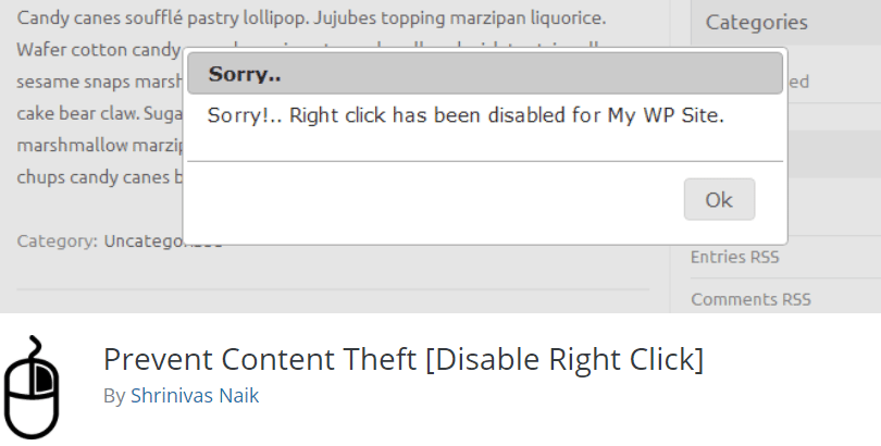 How to Protect Images and Content on WordPress Powered Website