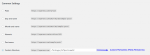 The Complete Guide To WordPress Permalinks Structure - WPArena