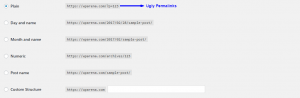 The Complete Guide To WordPress Permalinks Structure - WPArena