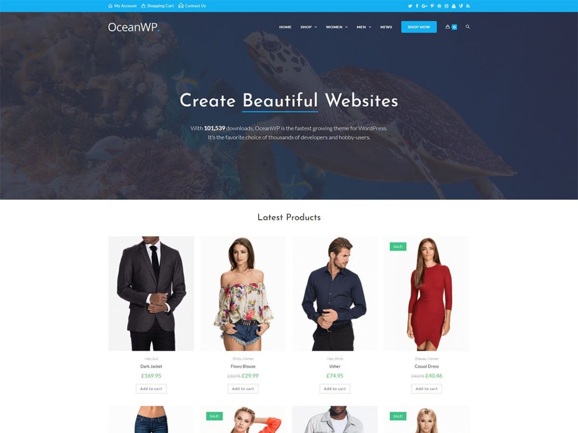 OceanWP Theme Review: A Comprehensive Analysis of the Free WordPress Theme