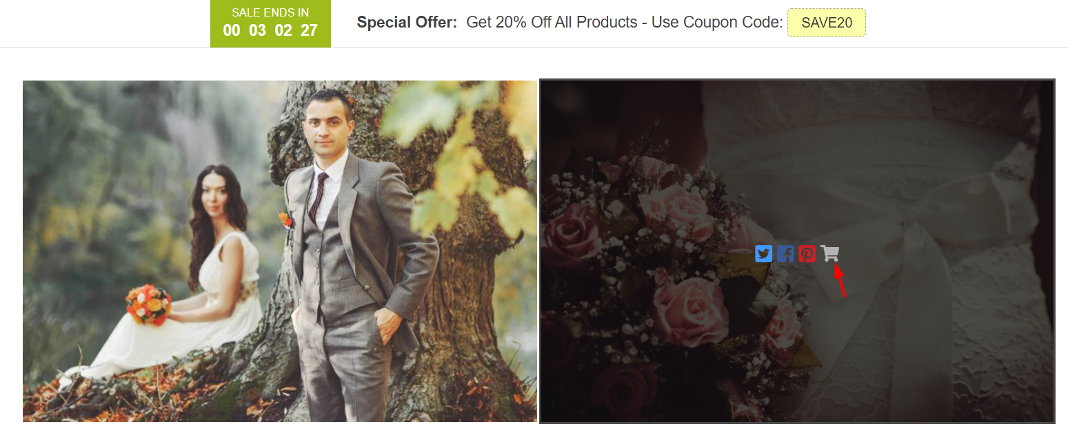 Imagely NextGEN Gallery Pro Review 2025: (Detailed Review)